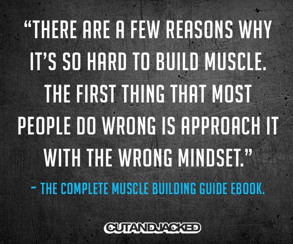The Complete Muscle Building Guide (Ebook) – CutAndJacked Shop